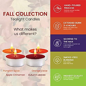 Fall Candles Scented Tea Lights Candles Gift Set - 64 pcs - Set of 16 Fall Scented Candles with 4 Autumn Fragrances - Pumpkin Spice with Nutmeg, Apple Cinnamon, Orange Clove and Autumn Leaves