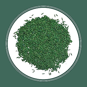 Pennington Kentucky 31 Tall Fescue Penkoted Grass Seed 40 lbs