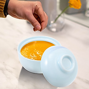 Hemoton 1pc Stew Pot Kitchen Supply Soup Bowl with Lid Noodles Bowl Ceramic Bowl with Lid Stew Cooking Pot Glass Pans Food Mini Clay Pots Glass Saucepan Onion Ceramics French