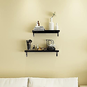 evron Floating Shelves Wall Mounted Set, Water Proof Wall Shelves for Living Room, Dining Room, Bedroom, Kitchen, Office and Greenhouse (Black Set of 2)