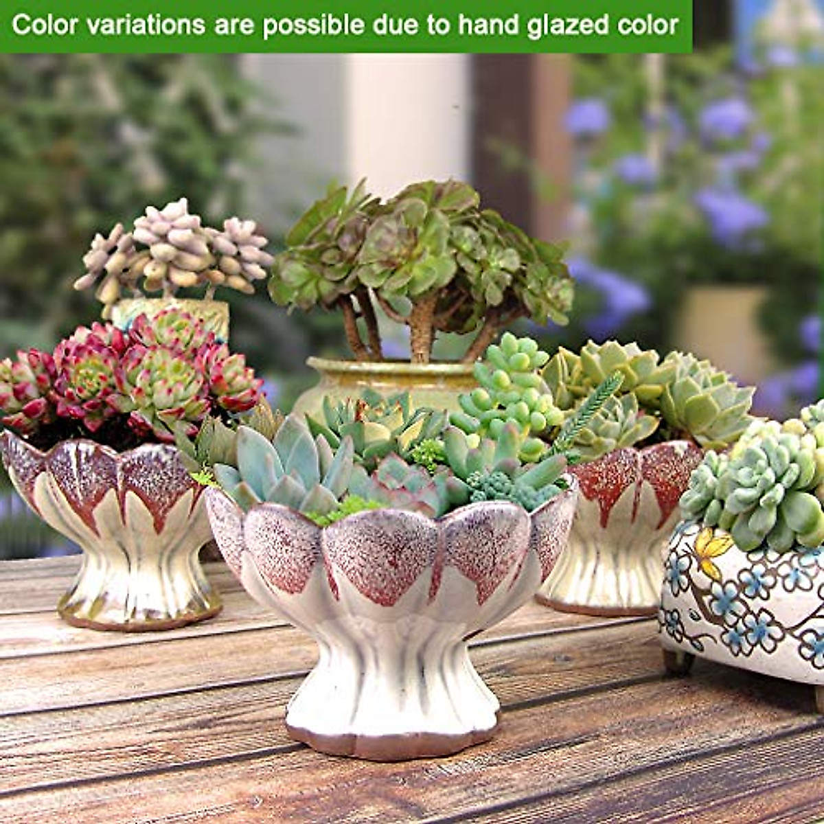 Summer Impressions 6 Inch Glazed Terracotta Succulent Planter with Drainage Hole Clear Plant Saucer Cactus Planter Pot Bonsai Pot Clay Pot Flower Pot (Lotus Red with Saucer)