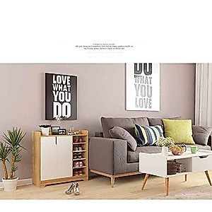 DINGZZ Multi-Layer Simple Shoe Shelf Home Simple Household Dustproof Shoe Cabinet, Wooden Shoe Rack (Color : Black)