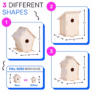 Neliblu DIY 12 Wooden Bird Houses - Creative Arts and Crafts Set for Kids and Adults - Unfinished Wood Birdhouse Kits with Paint Strips, Brushes, Stickers, and Strings - 3 Different Shapes, 2 Sizes