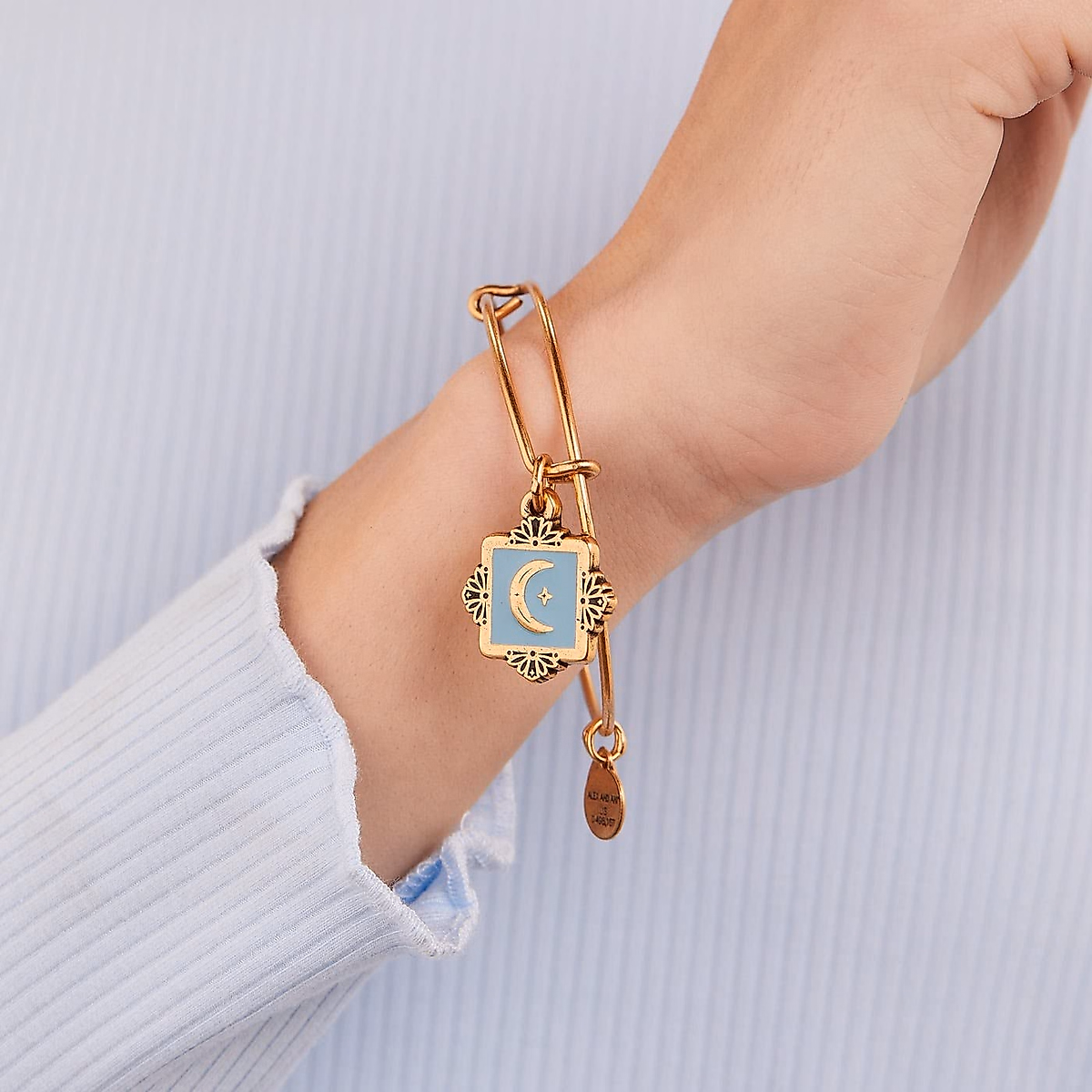 Alex and Ani Token of Wisdom Charm Bangle Bracelet - Rafaelian Gold Finish - 2 to 3.5 in