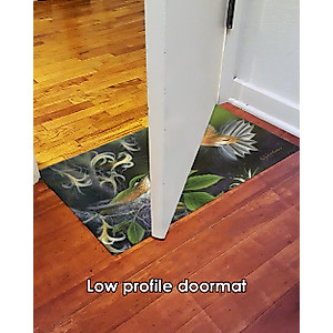Toland Home Garden 800036 Rufous Hummingbird Spring Door Mat 18x30 Inch Summer Outdoor Doormat for Entryway Indoor Entrance