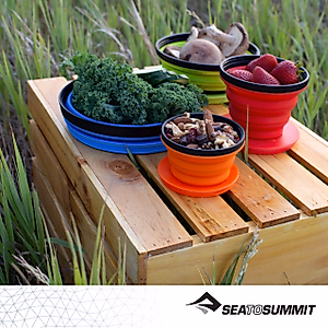 Sea to Summit X-Seal & Go Collapsible Food Storage Container, 2-Pack (S + L), Olive