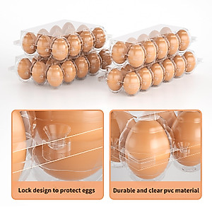 100 Pack Egg Cartons Cheap Bulk 12 Count Clear Plastic Egg Containers for Chicken Eggs, Reusable Egg Holder for Home Ranch Farm Commercial Market Display, Plastic Egg Packaging for Craft Projects