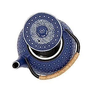 3 Piece Set Blue Japanese Cast Iron Teapot, Loose Leaf Tetsubin with Handle, Stainless Steel Infuser, and Trivet (27 oz, 800 ml)