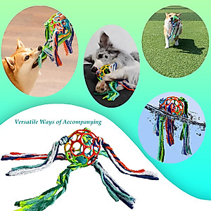 DogieLyn Dog Rope Toys with Squeaky Ball,Durable Bell Balls on Rope, 6 Colorful Strap Tug of War Dog Toy,Interactive Pet Indoor Outdoor Fetch Training Chew Toy for Small Medium Dogs