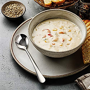 Hiware 12-Piece Soup Spoons, Round Stainless Steel Bouillon Spoons