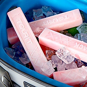 TOURIT Ice Packs for Coolers Reusable Long Lasting Freezer Packs for Lunch Bags/Boxes, Cooler Backpack, Camping, Beach, Picnics, Fishing and More (Set of 4, Red)