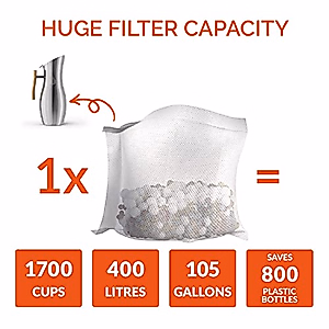 pH Vitality Stainless Steel Alkaline Water Pitcher - Alkaline Water Filter Pitcher Plus one pH Conscious 450ML Wheat Straw Alkaline Water Bottle Bundle