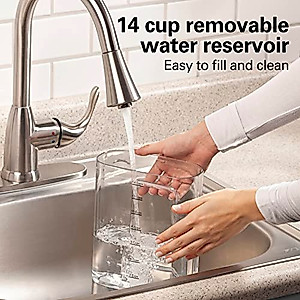 Hamilton Beach One Press Programmable Dispensing Drip Coffee Maker with 14 Cup Internal Brew Pot, Removable Water Reservoir, Black Next Gen (47601)