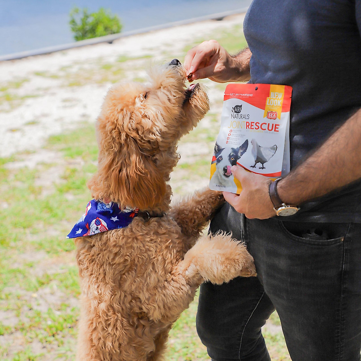 Ark Naturals Joint Rescue Dog Chew, Chicken Flavor, Joint Supplement with Glucosamine & Chondroitin, 1 Pack