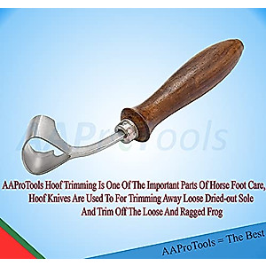 AAProTools Farrier Hoof Knife Swiss Pattern - Farrier Tools