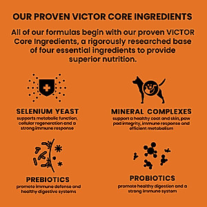 Victor Super Premium Dog Food – Classic Crunchy Dog Treats with Turkey Meal – Gluten-Free Treats for Small, Medium and Large Breed Dogs, 28oz