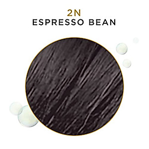 Clairol Professional Beautiful Advanced Gray Solutions 2n Espresso Bean, 3 oz