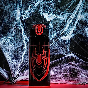 Zak Designs Marvel Spider-Man Water Bottle for Travel and At Home, 19 oz Vacuum Insulated Stainless Steel with Locking Spout Cover, Built-In Carrying Loop, Leak-Proof Design (Miles Morales)