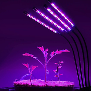 LED Grow Lights for Indoor Plants - JUEYINGBAILI Gooseneck Plant Lights with Red Blue Full Spectrum, Auto ON/Off 3 9 12 Timer, 9 Dimmable Levels Clip Plant Growing Lamp (with Power Adapter)