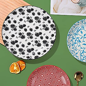 Porcelain Dinner Plates Set of 6, Vivimee 10.2 Inch Large Dinner Dishes Set, Ceramic Salad Plates Set, Colorful Serving Plates for Restaurant, Kitchen and Family Party Use, Dishwasher & Microwave Safe