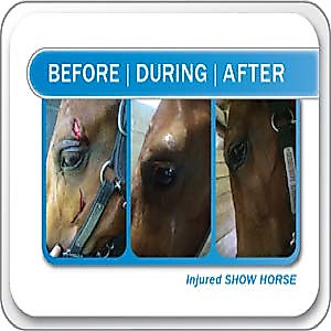 Champion Seal Liquid Bandage, 2 Pack Spray on Wound Care for Horses, Livestock, Large Animal First Aid, Woman Owned Small Business