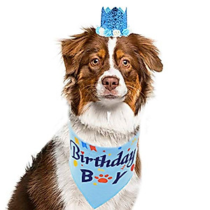 Dog Birthday Bandana Boy Scarf and Crown Dog Birthday Hat, Flower Headwear for Medium to Large Dogs Blue