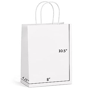 Eupako Paper Bags 8x4.25x10.5 100 PCS White Paper Gift Bags with Handles Bulk, Kraft Shopping Bags, Party Favor Bags, Merchandise Bags