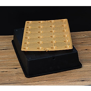 Lil Gnomies Propagator with Humidity Dome Durable Seed Tray Germinating Cutting Clone & Plant Propagation Kit (Propagator+24LitePot)