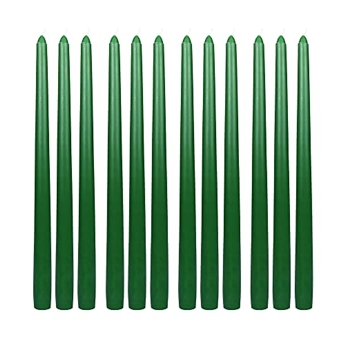 Zest Candle 12-Piece Taper Candles, 12-Inch, Hunter Green
