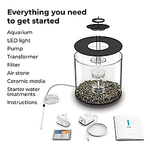 Tube 15 Aquarium with Standard Light - 4 Gallon, Black