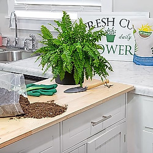 Air Cleaning Plant Potting Mix (8 Quarts), Soil Mix for Pothos, Parlor Palm, Peace Lily, Etc.