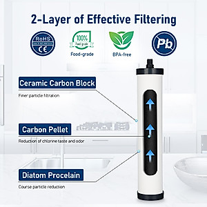PERCOLA FRC06 Cartridge, Compatible with FRCNSTR/FRC06, FRCNSTR100/FRC06 filter cartridge and Franke Still Pure Under-Sink Filtration System, 2 Pack