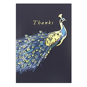 Punch Studio Boxed Thank You Card Set, Set of 10 Cards/Envelopes, Peacock Design, (45026)