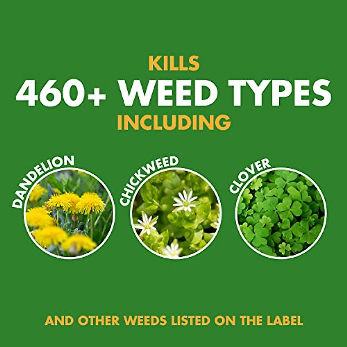 Spectracide Lawn Weed Killer, 32 oz, Clear