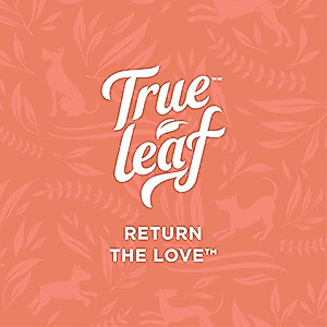 True Leaf Pet Hemp Hip + Joint Chews 200g (77003)