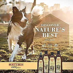 Burt's Bees for Dogs Care Plus+ Natural Hydrating Shampoo with Coconut Oil + Dog Grooming Supplies - Natural Dog Shampoo and Conditioner, Burts Bees Dog Conditioner, Puppy Shampoo