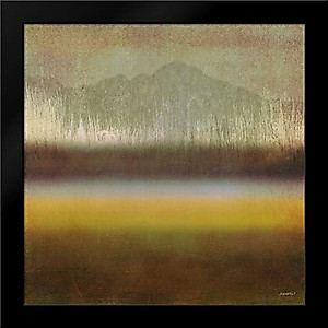 ArtDirect Meneely, Dan 20x20 Black Modern Framed Art Print Titled: Loon Lake II