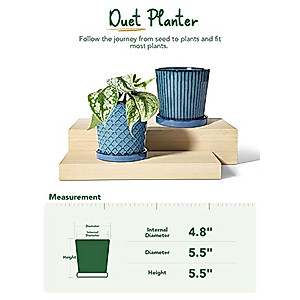 LE TAUCI Plant Pots, 5.5 Inch Pots for Indoor Plants, Planters with Drainage Hole and Saucer for Home or Office, Flower Pots for Succulent, Snake Plants and Cactus, Set of 2, Reactive Glaze Blue