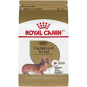 Royal Canin Dachshund Adult Breed Specific Dry Dog Food, 10 lb bag