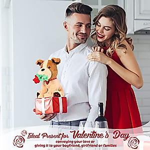 Chalyna 10 Inches Dog Plush Toy with Rose Valentine's Day Stuffed Animal with Heart Rose for Girlfriend, for Valentines Party Favor Mother's Day Birthday Festival Occasion