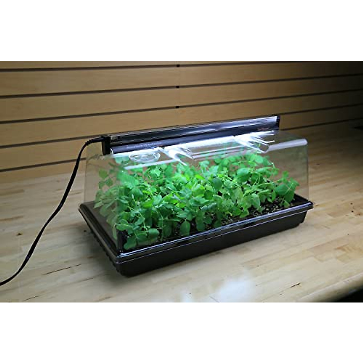 Super Sprouter Deluxe Propagation Kit for Starting Seeds or Cuttings, Includes Humidity Dome, Tray, Grow Light, and Booklet