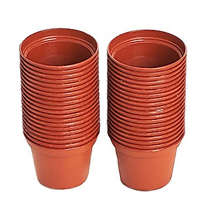 Shop Succulents 2" Plastic Nursery Pots, Pack of 40