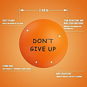 KDG Motivational Stress Balls(4 Pack) for Kids and Adults,Stress Relief Balls with Quetos to Relieve Anxiety and Manage Anger as Gift…