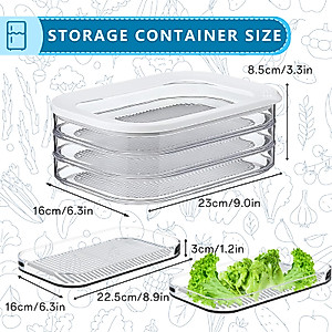 RKXQT Lunchmeat Storage Container for Fridge, Transparent Deli Lunch Meat Container for Refrigerator, Deli Container with Lid for Bacon, Lunch Meat, Stackable Cold Cuts, Vegetable and Cheese, 3pcs.