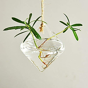 Fashionstorm Indoor Outdoor Glass Hanging Planters Plant Pots Water Plant Containers Flower Pots Glass Terrariums 3 Pieces