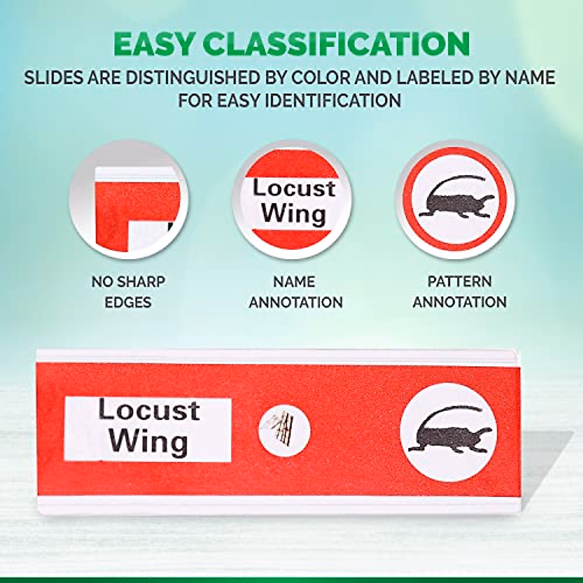 AMSCOPE-Kids 48pcs Kids Plastic Prepared Microscope Slides of Animals Insects Plants Flowers Sample Specimens for Stereo Microscopes