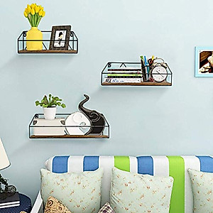 Edenseelake Floating Shelves Wall Mounted Storage Shelf with Metal Wire for Bedroom, Bathroom, Living Room, Kitchen and Office