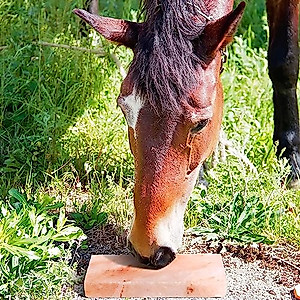 Fabbay 8 Pcs Animal Lick Salt Bulk Himalayan Salt Block Pink Salt Lick Brick Long Lasting Compressed Minerals Block for Animals, Horses, Deer, Cattle, Sheep, and Other Livestock