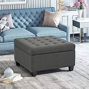 Christopher Knight Home Hedda Tufted Fabric Storage Ottoman, Dark Gray, Dark Brown