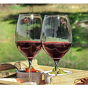 Animal Wine Charms Set of 6 Safari Themed Magnetic Wine Glass Drink Markers